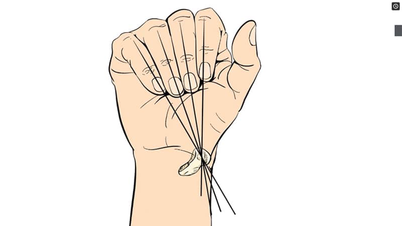 Instructiefilm Onderzoek Pezen flexor digitorum superficialis